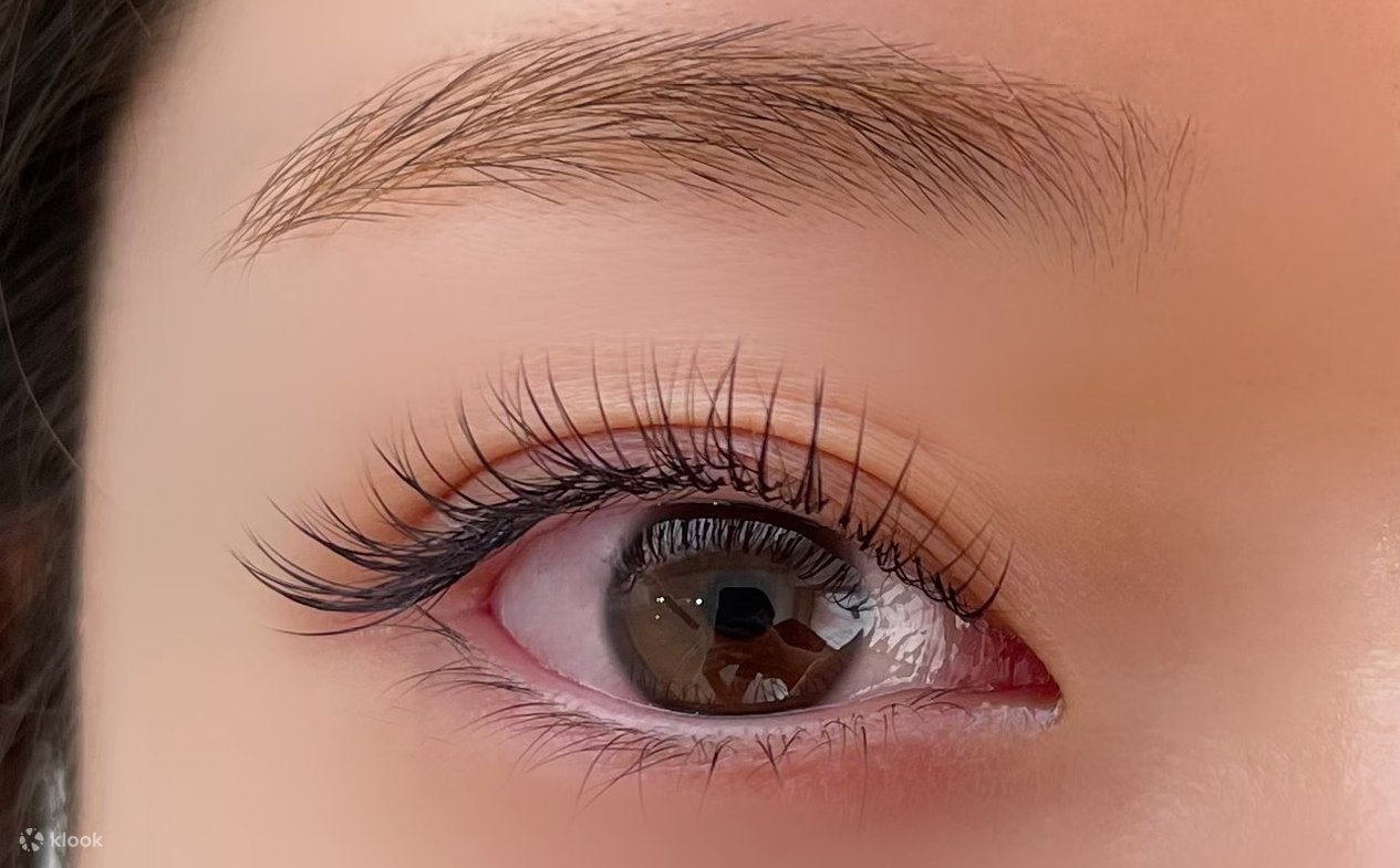Tokyo Kinshicho Eyelash Extension Salon Angelica eyebeauty - Klook New ...