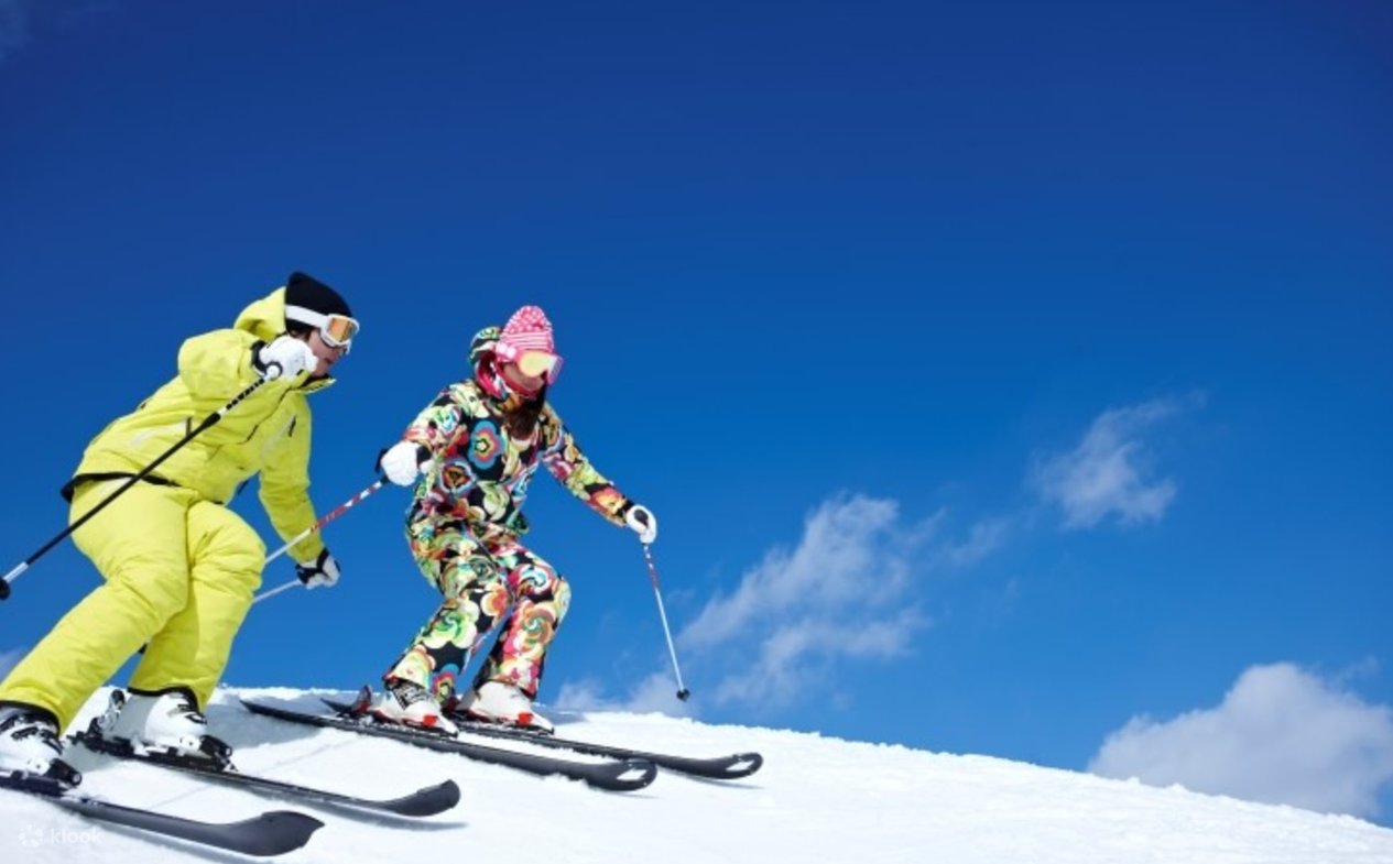 Jisan Forest Ski Resort Full-Day Small Group Ski & Sledding Tour ...