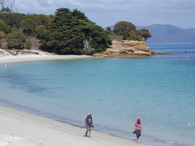 Maria Island National Park Active Day Tour from Hobart - Klook Australia