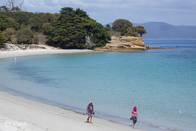 Maria Island Highlights Active Day Tour - Klook香港