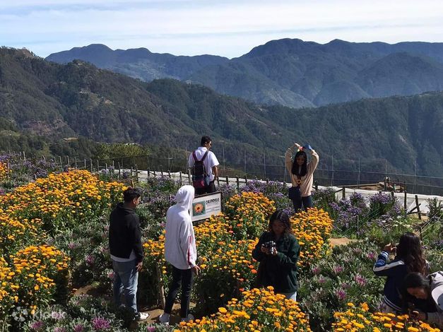 Atok Gardens Private Day Tour - Klook Philippines