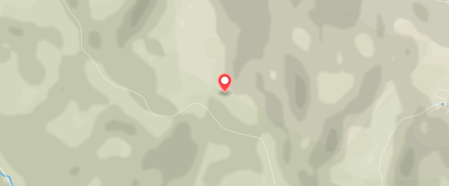 Arashiyama & Nara Todai-ji Day Tour from Osaka - Klook