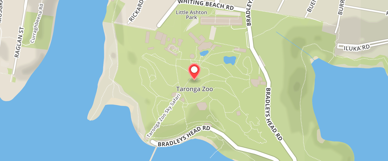 Taronga Zoo Entry Ticket - Klook