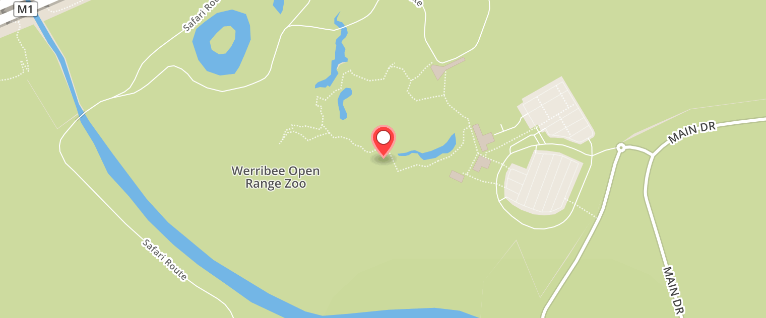 Werribee Open Range Zoo Discount Entry - Klook