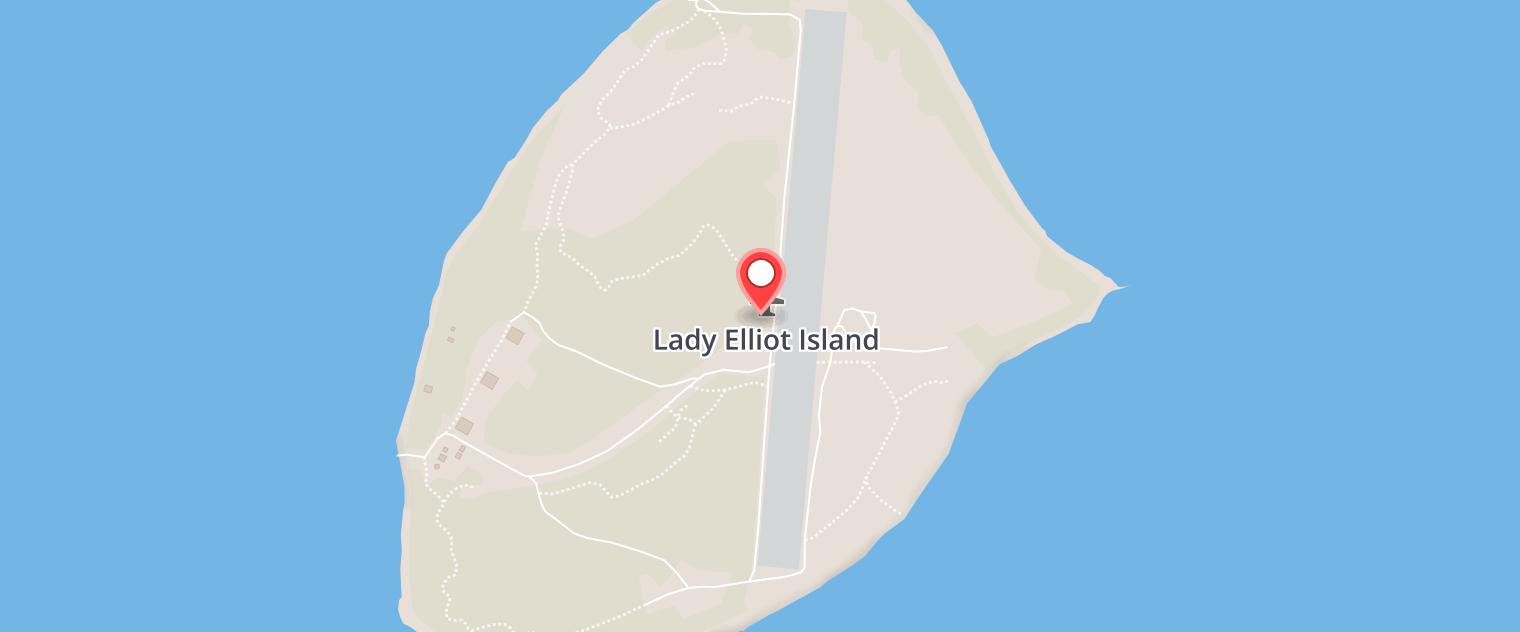 Lady Elliot Island Great Barrier Reef Day Tour from Gold Coast - Klook ...