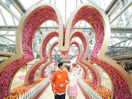 The Year of Blossoms｜Cityplaza x Miffy｜New Year 2023