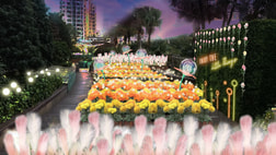 春日盛放全新橘黃萬壽菊波波花田｜MOKO GARDEN @L3｜打卡裝置