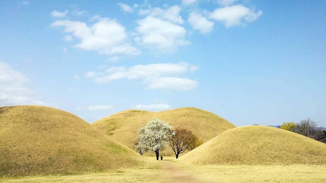 Daereungwon Royal Tomb