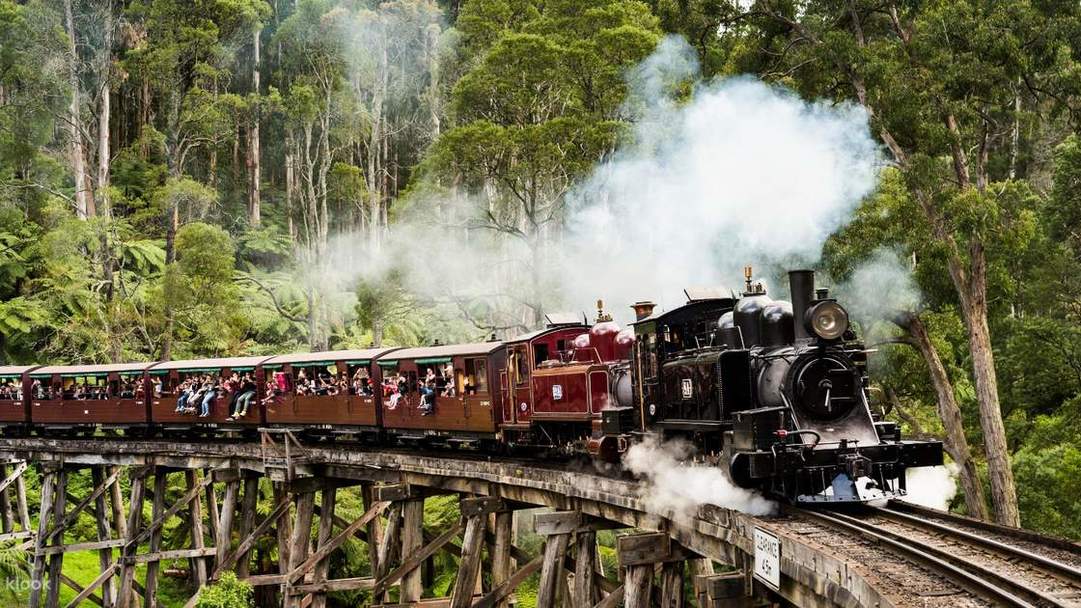 Puffing Billy Steam Train: Must-Knows Before Your Trip - Klook