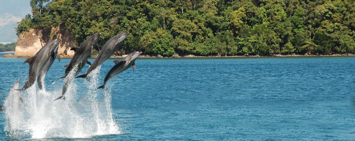 Up to 30% Off | Ocean Adventure Ticket in Subic Bay - Klook Philippines