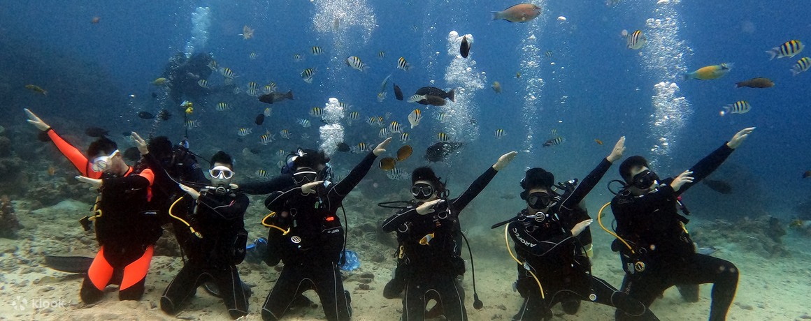 綠島海灣潛水一對一潛水體驗・3天2夜套裝行程 - Klook香港