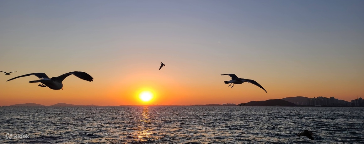 Incheon Sunset and Seafood Tour - Klook United Kingdom