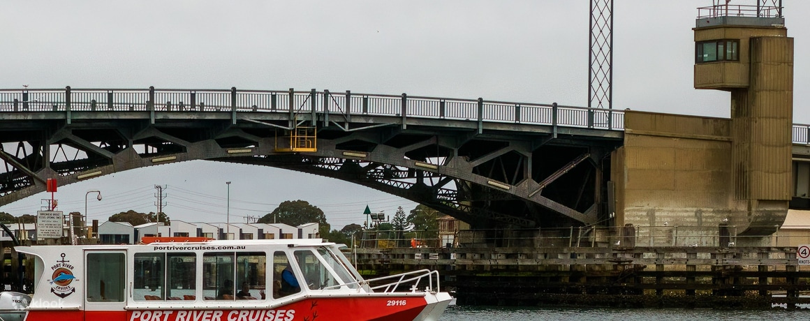 90 Minute Port River Dolphin & Shipwreck Cruise in Port Adelaide - Klook