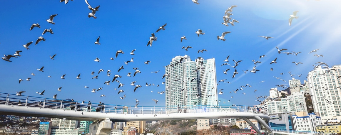 West Busan Half Day/Day Tour - Klook United States