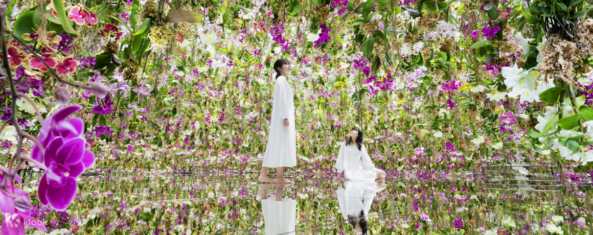 teamLab Planets Toyosu Tokyo Ticket - Klook