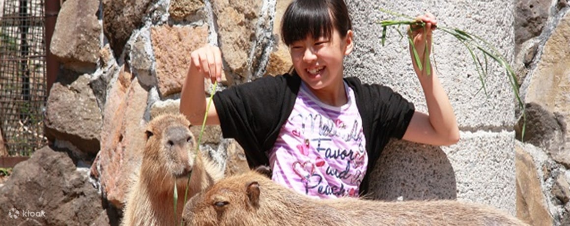 Izu Shaboten Zoo Ticket in Nagoya - Klook