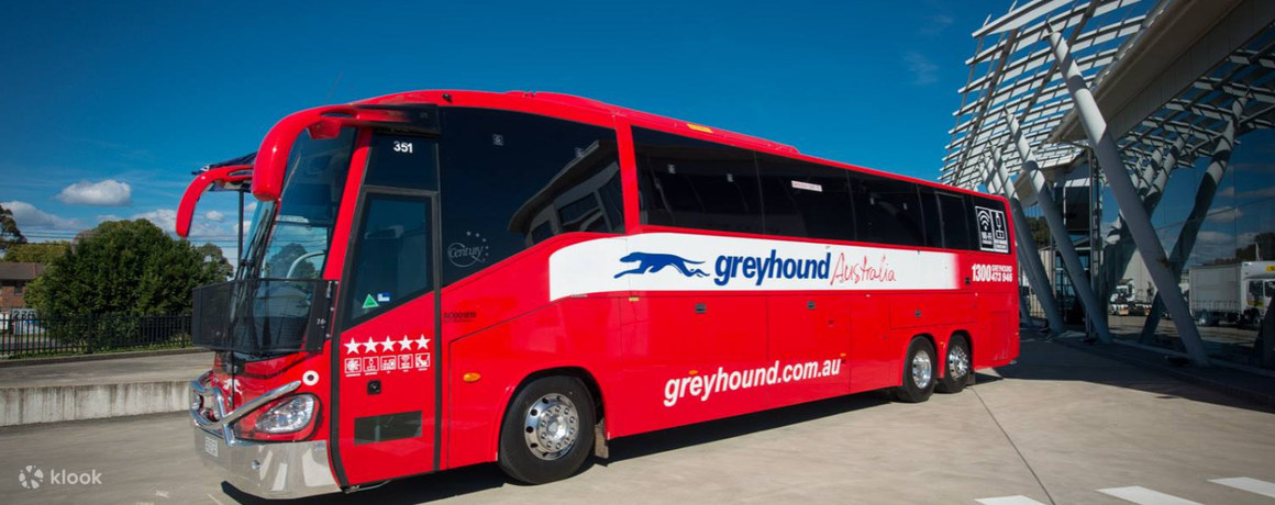 Greyhound Australia Bus Pas (3 Months), Sydney, Australia - Klook 客路