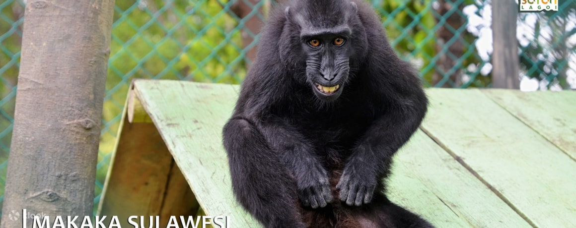 Safari Lagoi and Ecofarm Ticket in Bintan - Klook Canada