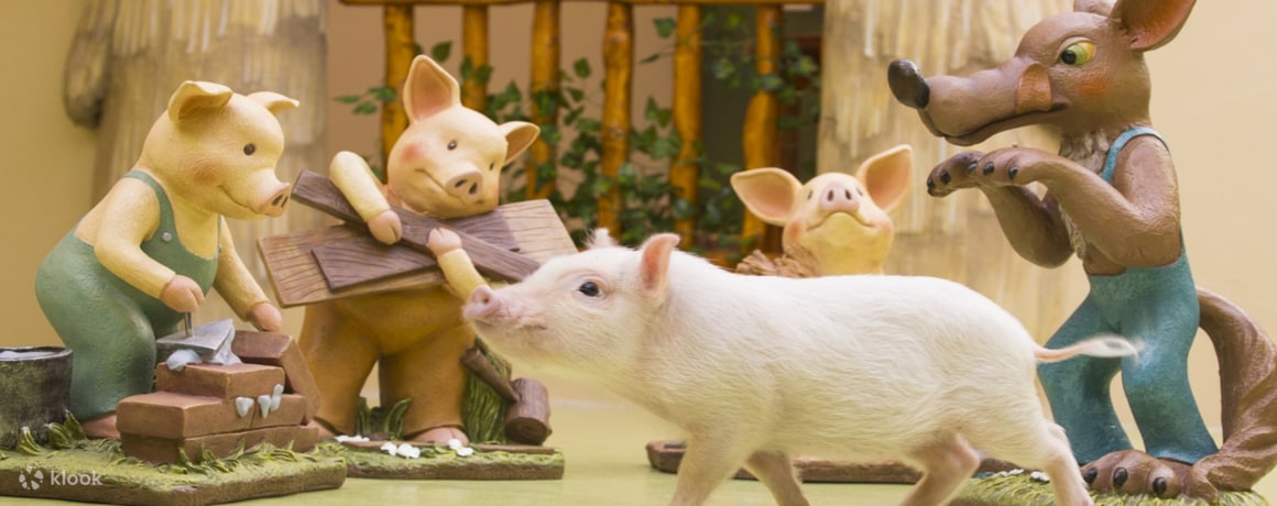 Micro Pig Cafe Experience in Harajuku - Klook