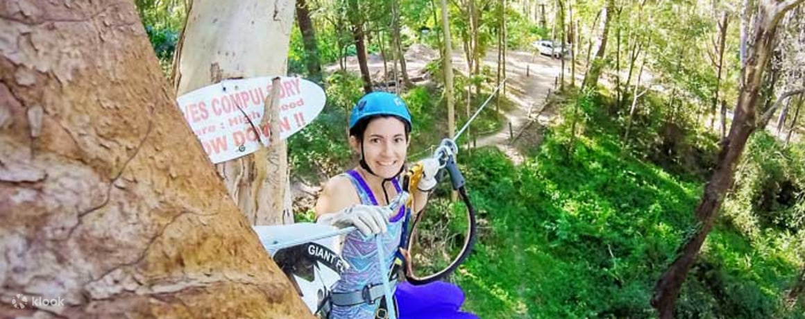 TreeTop Challenge Currumbin Wildlife Sanctuary - Klook 客路
