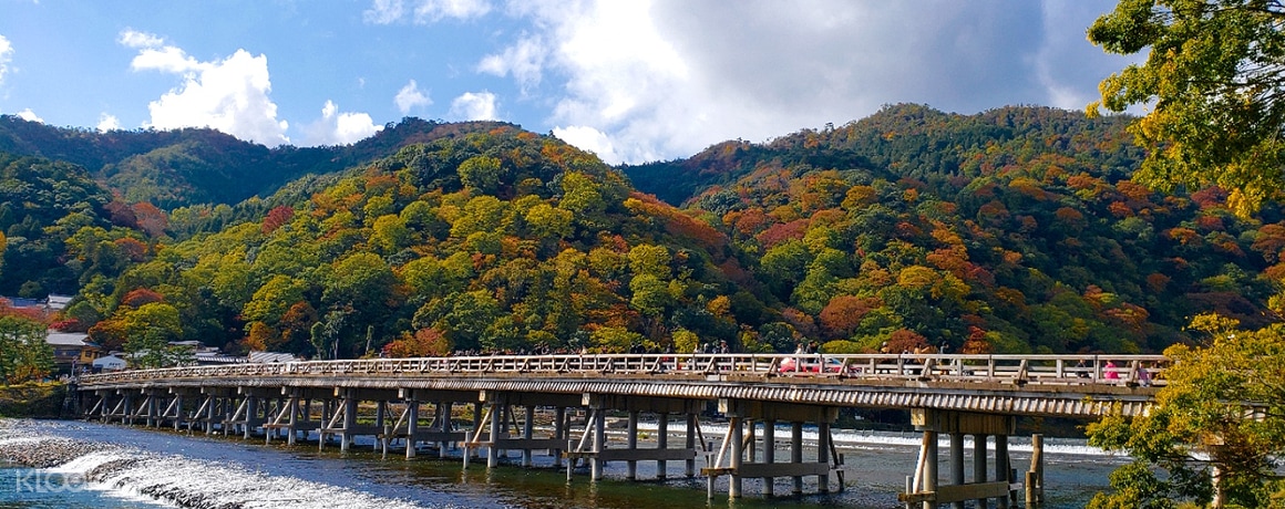 Kyoto and Nara Day Tour from Osaka/Kyoto in Japan