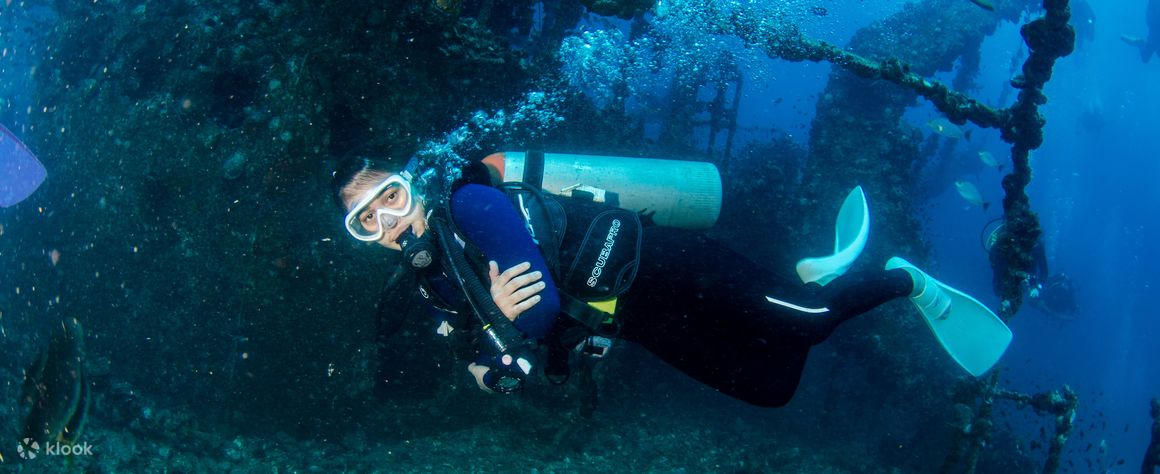 Full-Day Dive Trip [3 Dives] in Koh Chang with PADI 5 Star IDC | Dive ...