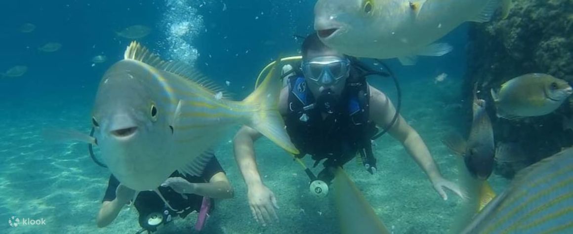 PADI Discover Scuba Diving in Aegean Islands with PADI Resort | Dive ...