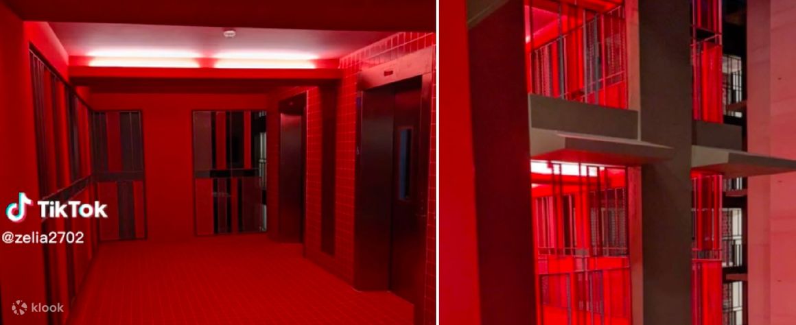 Tampines North Red BTO 블록에서 집 구경하기 - 클룩 Klook 한국