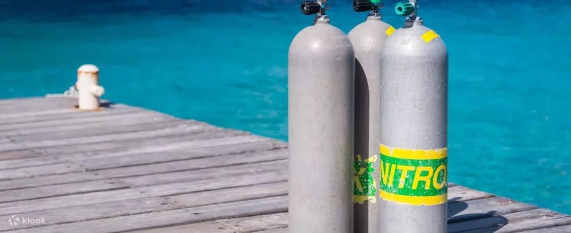 Become an Enriched Air Diver (Nitrox) with PADI 5 Star Dive Center in ...