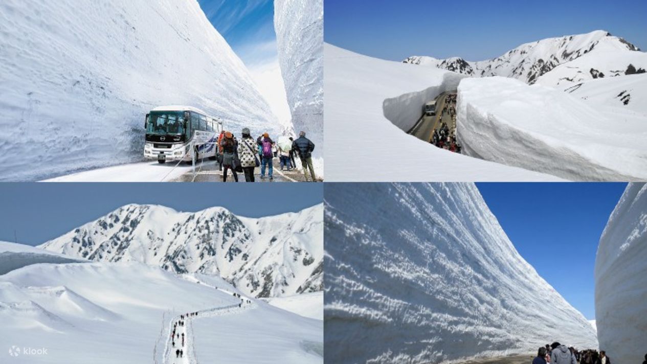 2D1N Tateyama Kurobe Alpine Route, Shirakawago, and Takayama Tour ...