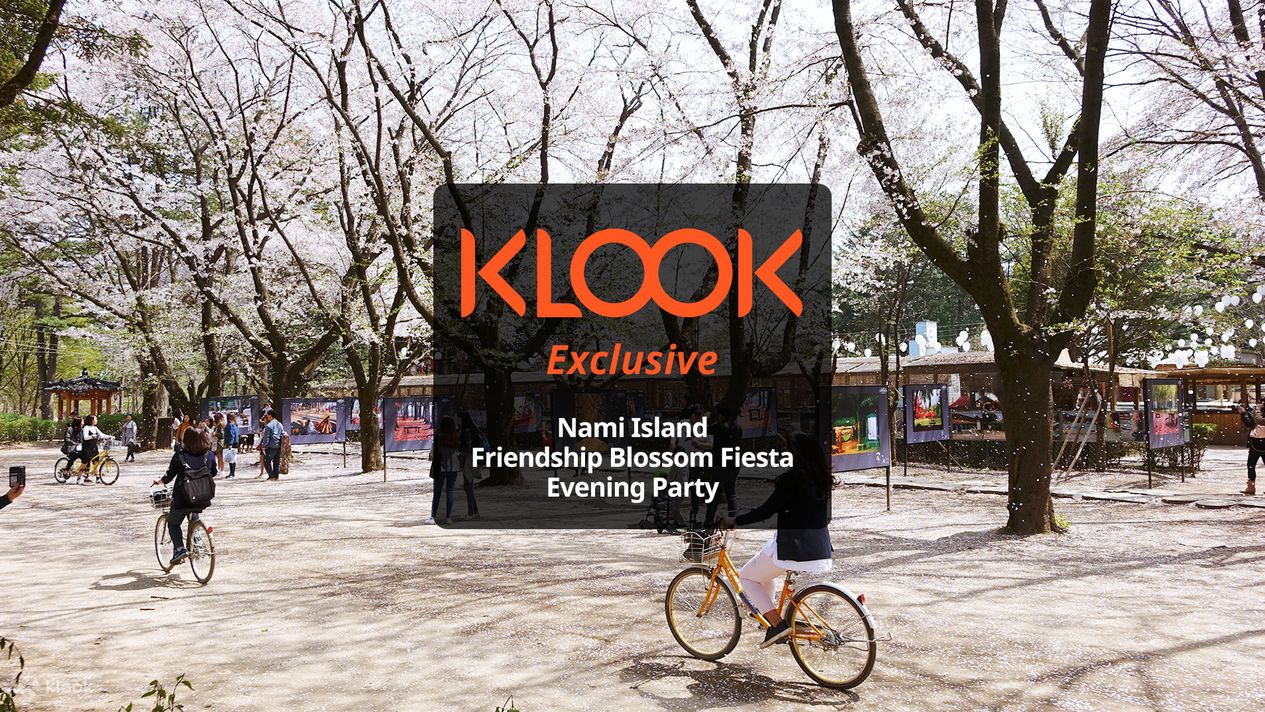 Nami Island Cherry Blossom Viewing from Seoul, South Korea - Klook