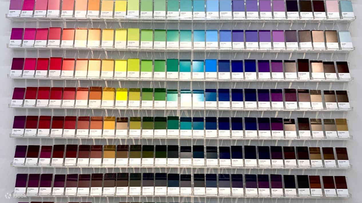Personal Color Analysis by Fitcolor | Hongdae, Seoul - Klook