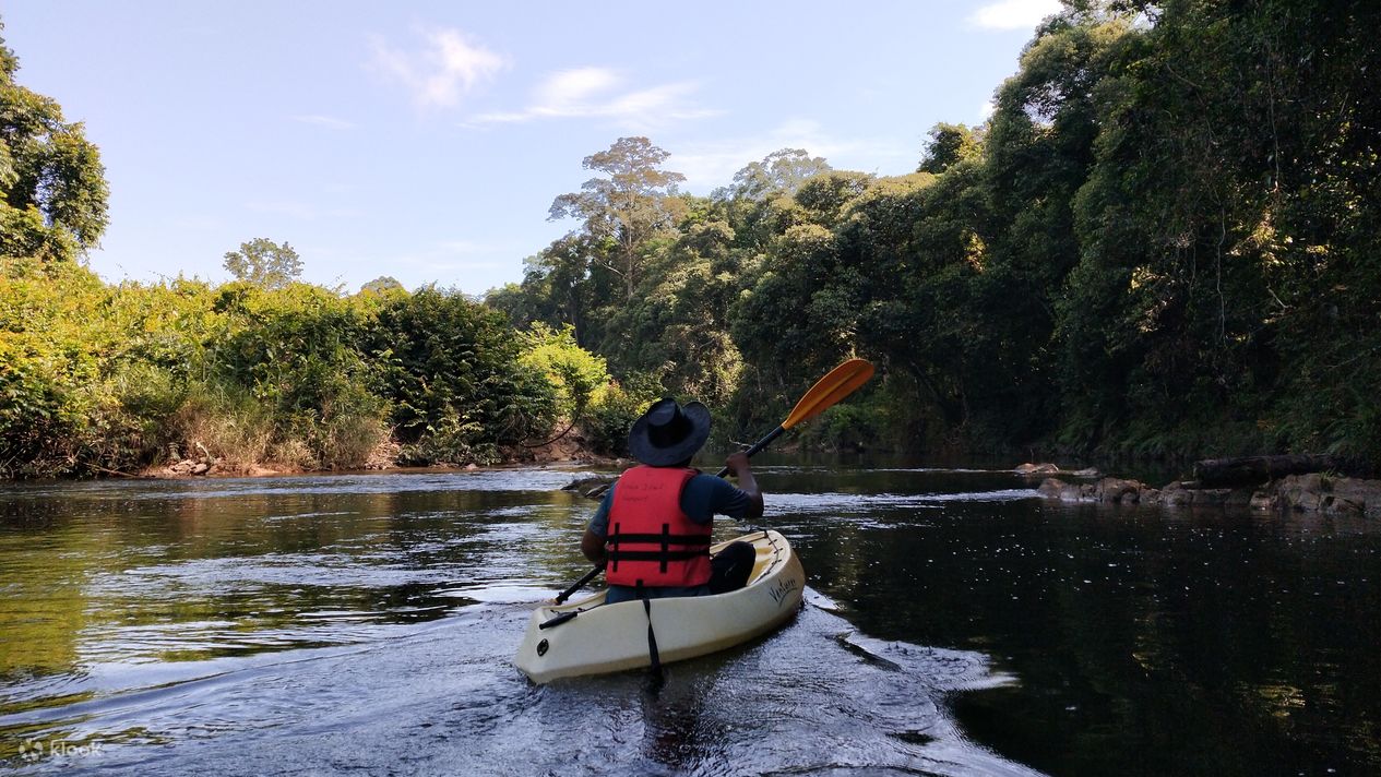 Join In Kayaking in Taman Negeri Rompin and Pahang - Klook Philippines