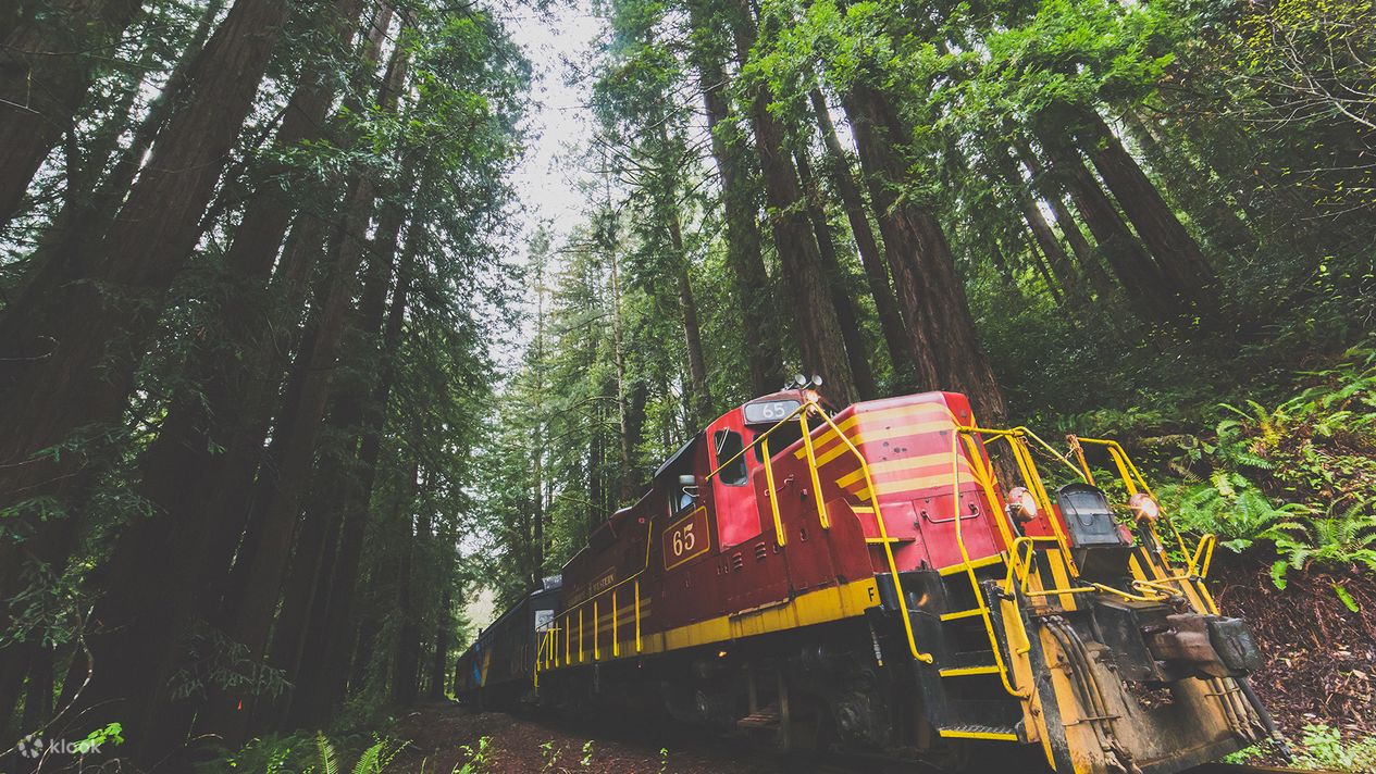 Wolf Tree Turn Scenic Train Tour in Mendocino - Klook
