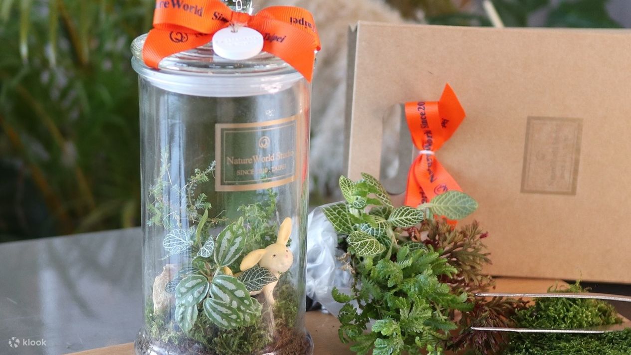 ผิงตง: ประสบการณ์ทำมือ DIY - ขวดนิเวศวิทยาของพืชและวัฏจักรที่ยั่งยืน ...