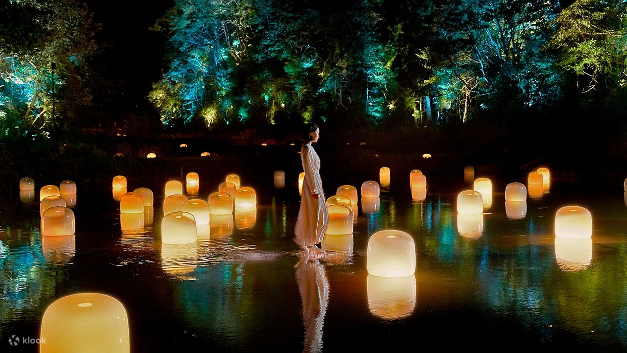 teamLab 幽谷隱田跡 - Klook 客路