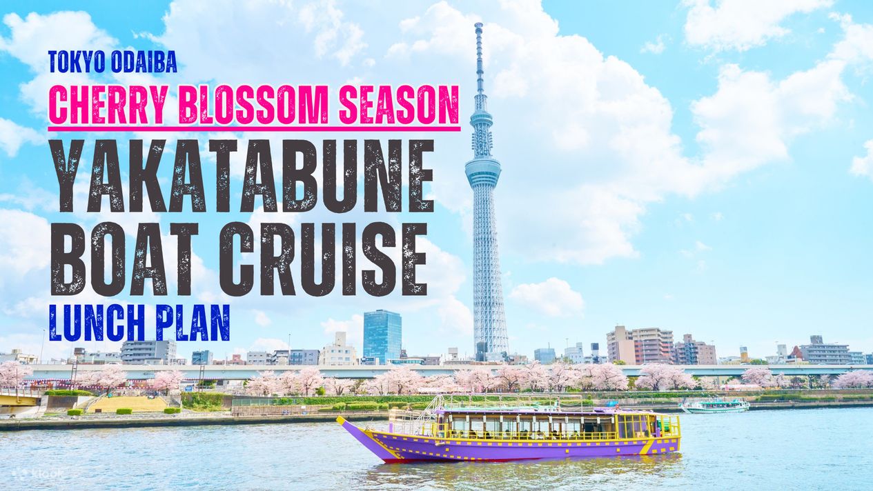 Tokyo Cherry Blossom Season Odaiba Yakatabune Boat Cruise Lunch Plan ...