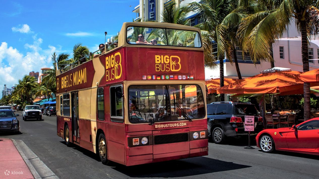 Miami Big Bus Hop-On Hop-Off Tours (Open-Top) - Klook Australia