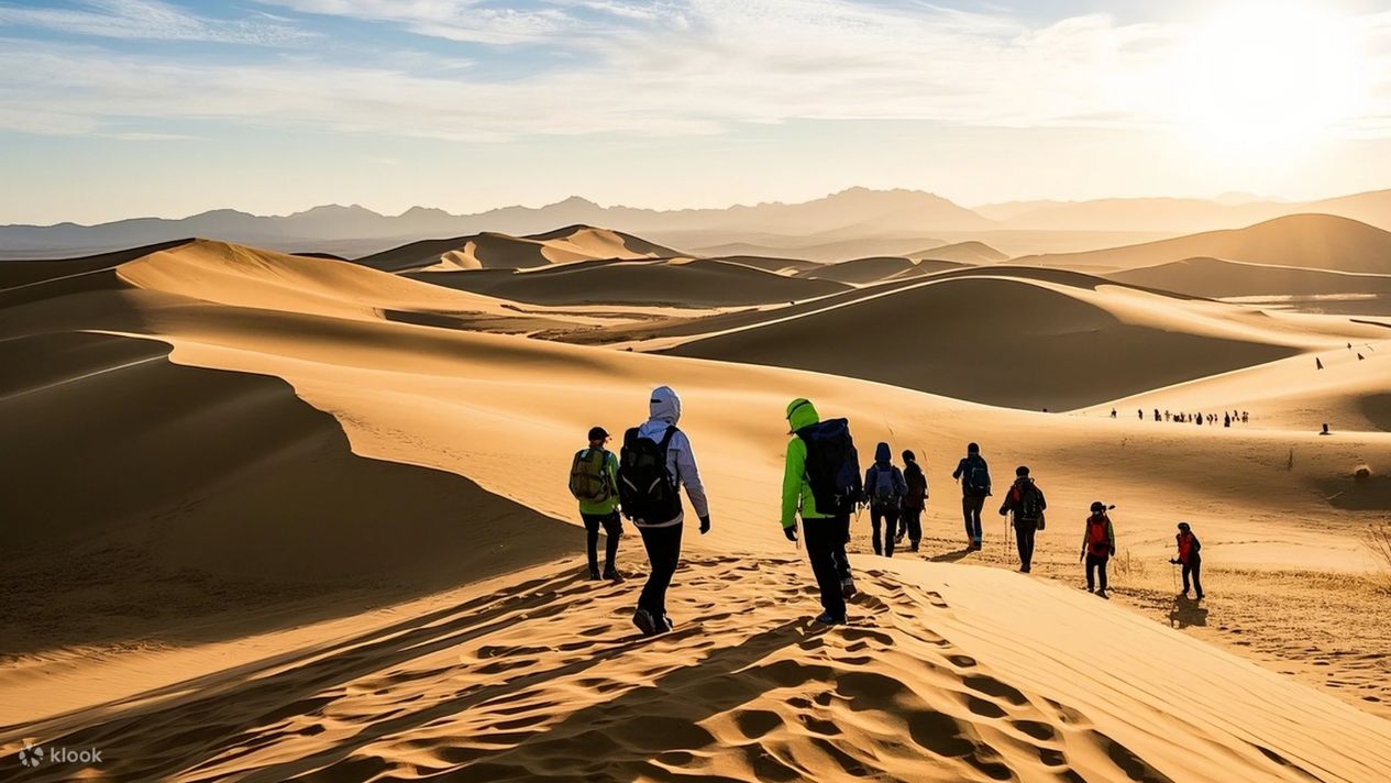 Ningxia Tengger Desert Five Lakes 4-day Tour (Desert Starry Sky Camping ...