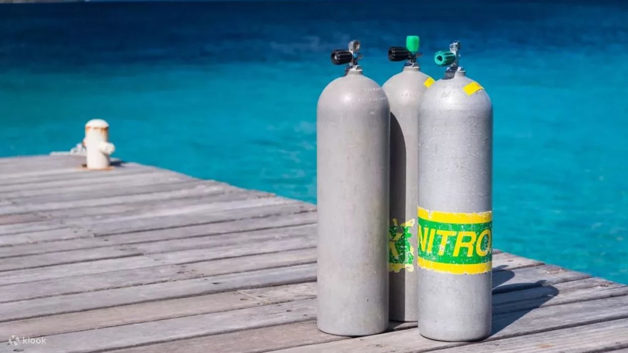 在科莫多 PADI 五星潜水中心成为一名富氧空气潜水员 (Nitrox) - Klook客路