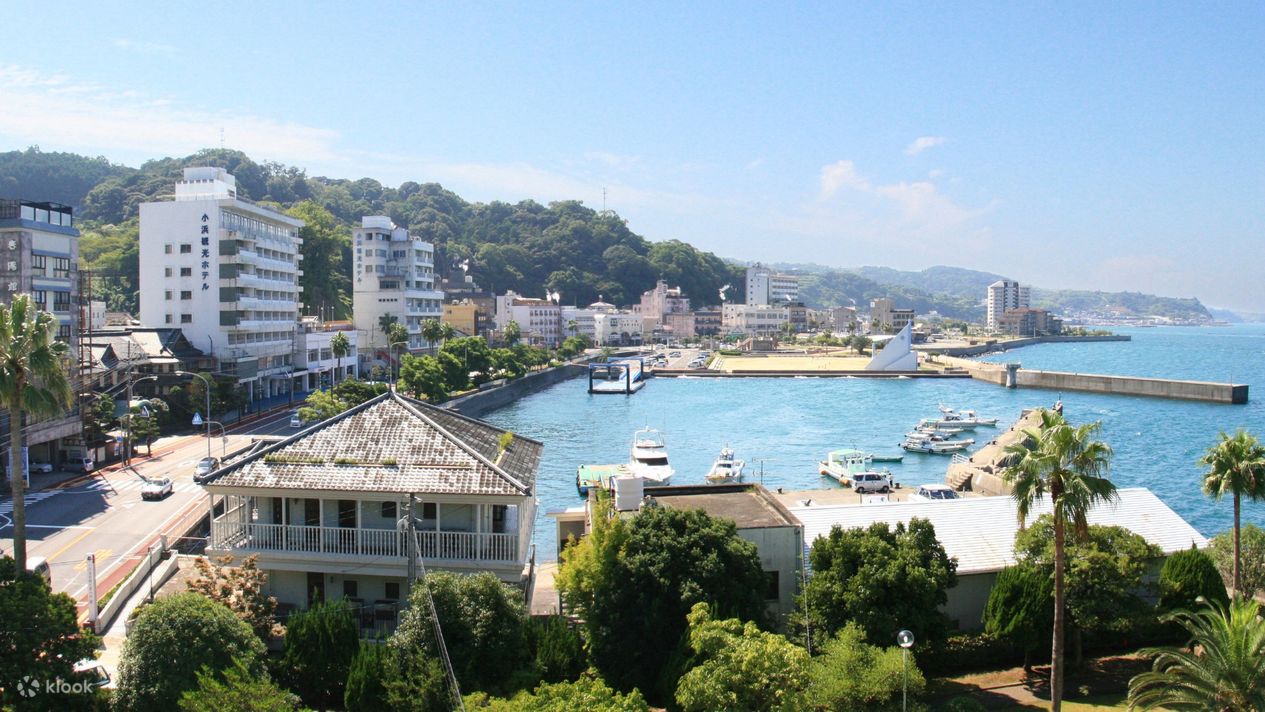 Dolphin Watching and Obama Onsen Hot Spring Experience in Nagasaki ...