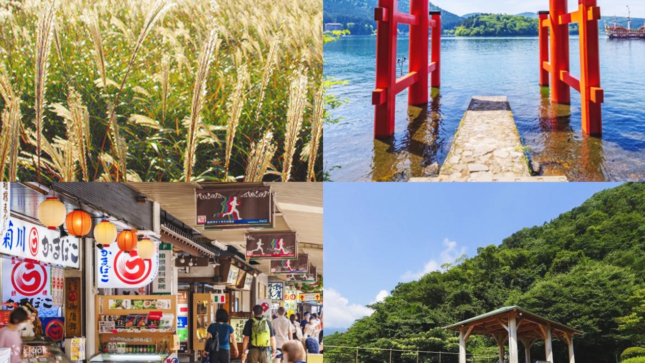 [Hakone In-depth Tour] Hakone Shrine, Sengokuhara, Hakone Yumoto Hot ...