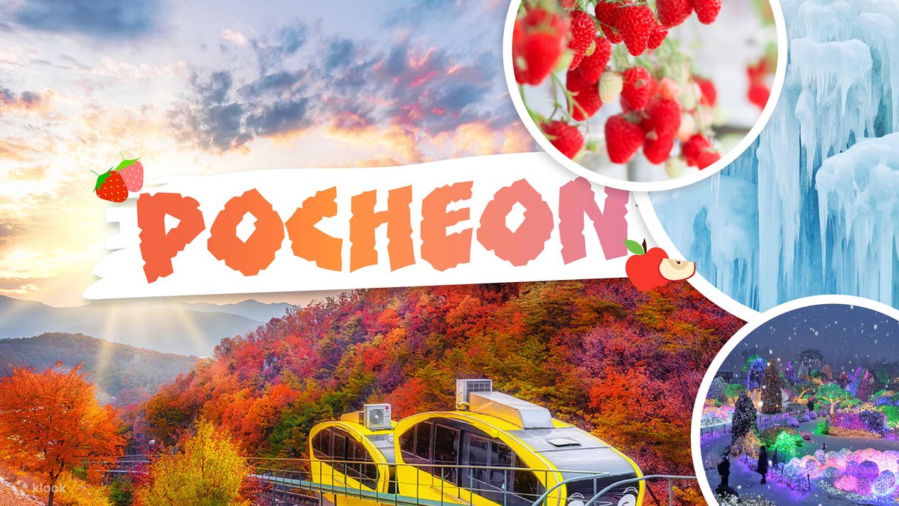 Pocheon Art Valley & Strawberry farm & Herb Island Illuminating ...