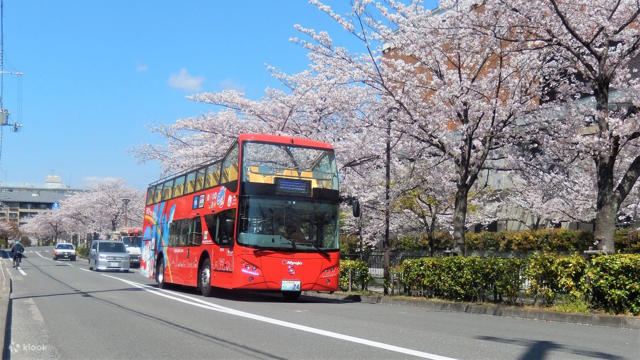 Kyoto Hop-On Hop-off sightseeing bus by Skyhop Bus (1day / 2days ticket ...