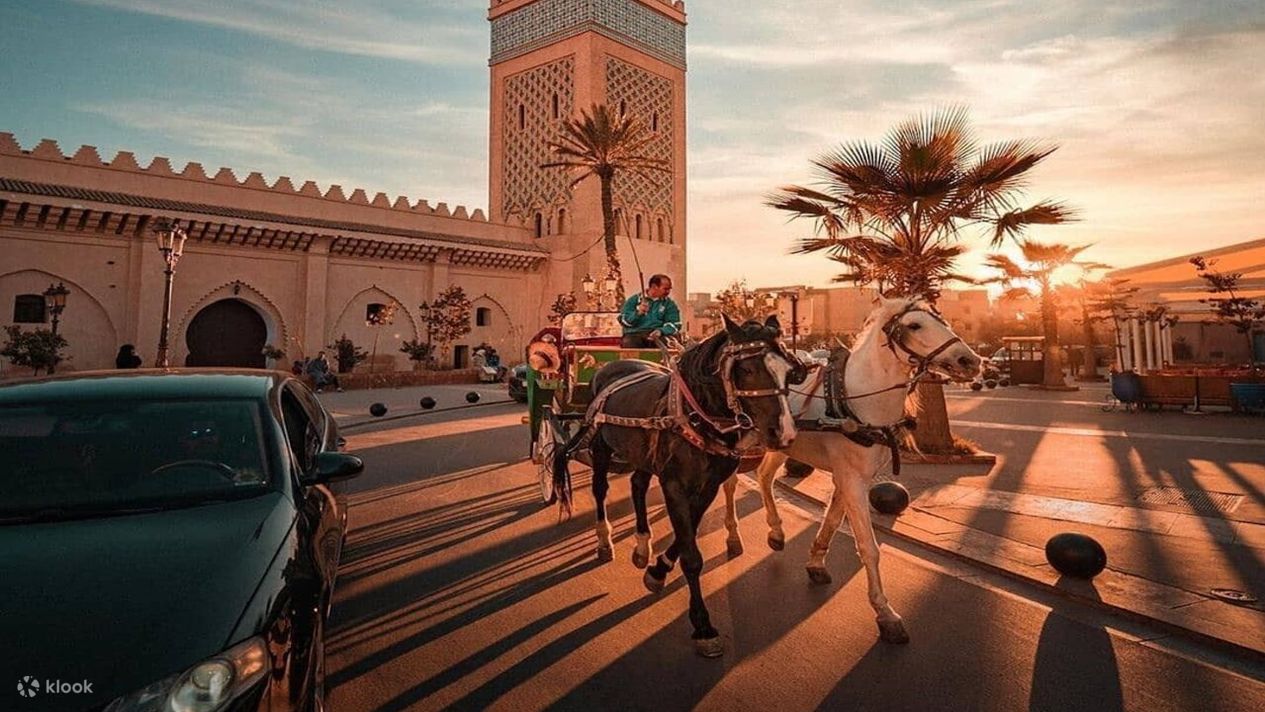 Marrakech Sightseeing Tour Explore Gardens, Palaces & hidden gems ...