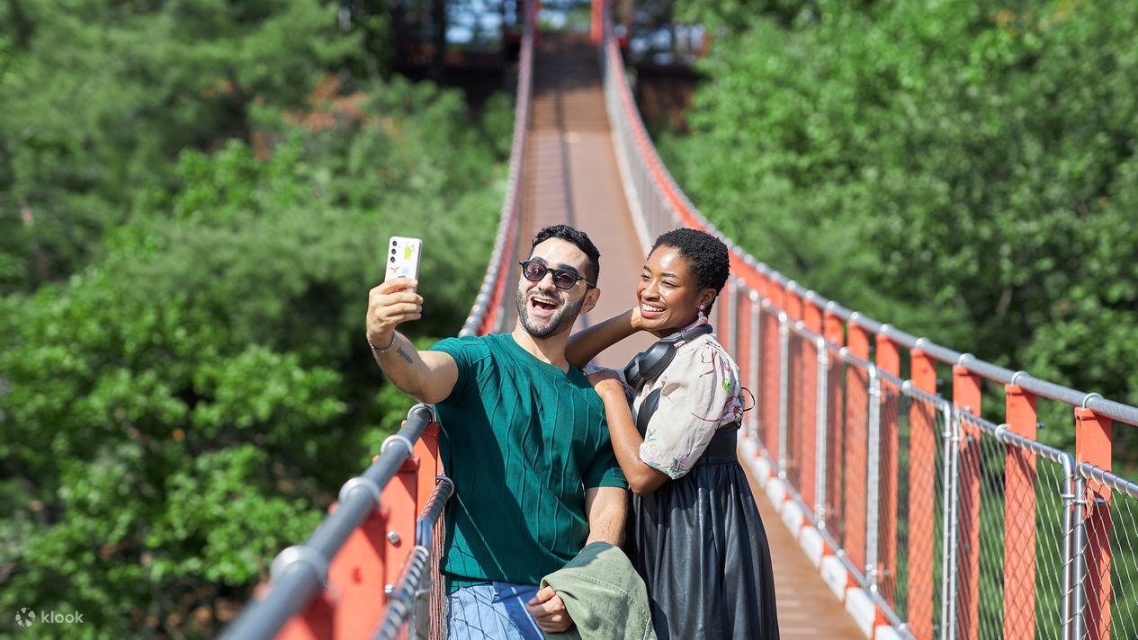 DMZ Half Day Guided Tour from Seoul - Klook