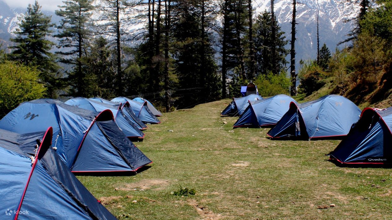 2D1N Manali Camping in Himachal Pradesh - Klook United Kingdom