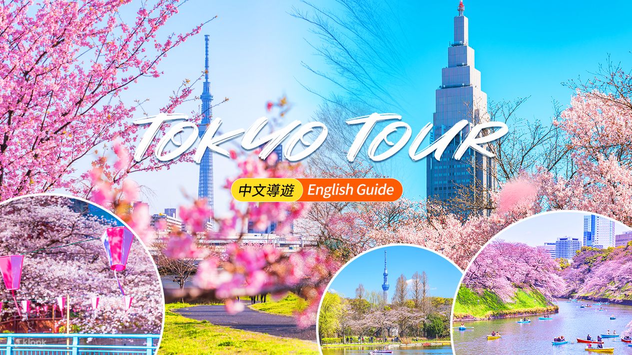 Cherry Blossom Season Exclusive | One-day tour to famous cherry blossom ...
