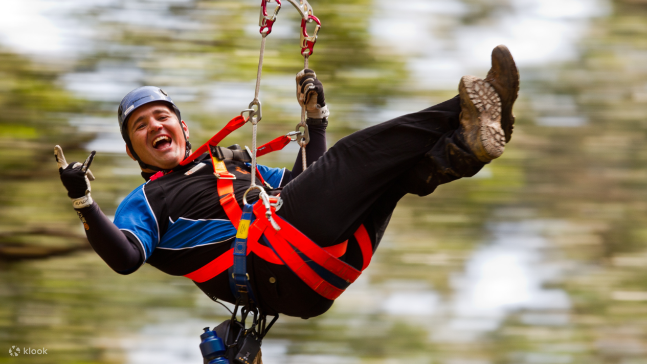 Otway Fly Zipline Experience - Klook États-Unis