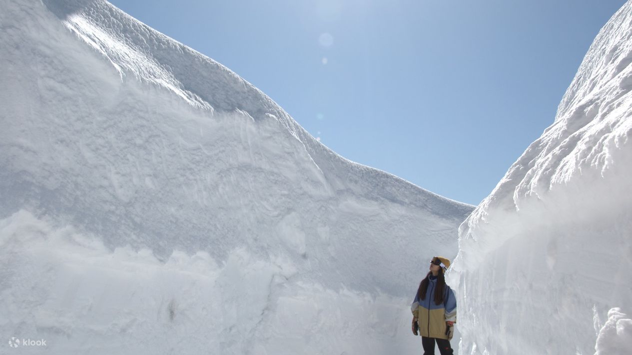 Hakuba Tsugaike Snow Wall & Shinshu's 2 Best Cherry Blossom Spots in ...